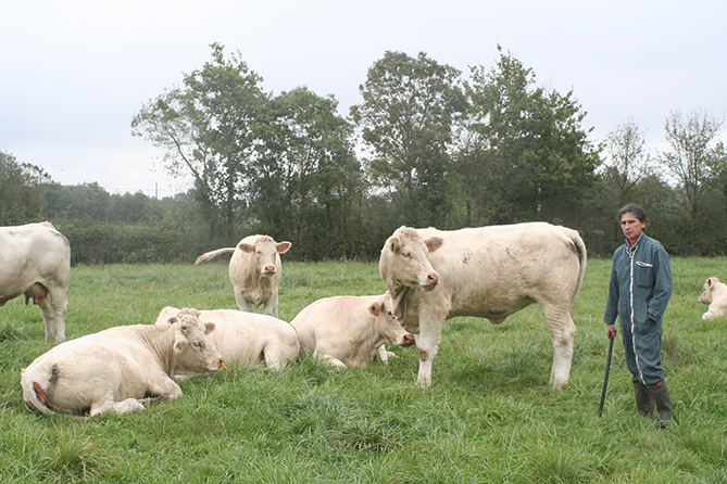 GAEC BRIAND-LEDUC - Nort-sur-Erdre